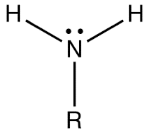 Lý thuyết về amin